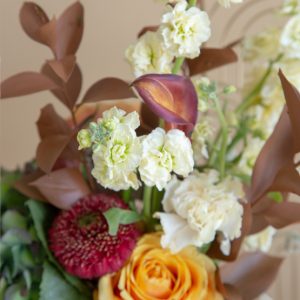 Back Home – Elite Flower