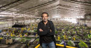 About Us – Elite Flower