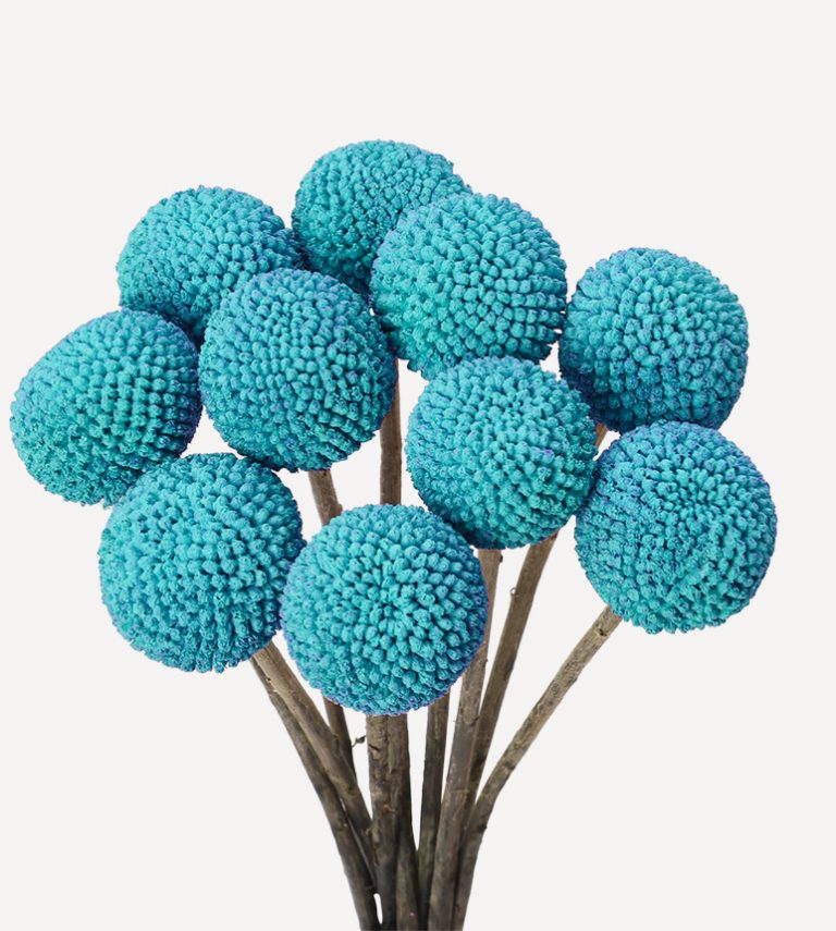 Market Bunches – Linear – Elite Flower