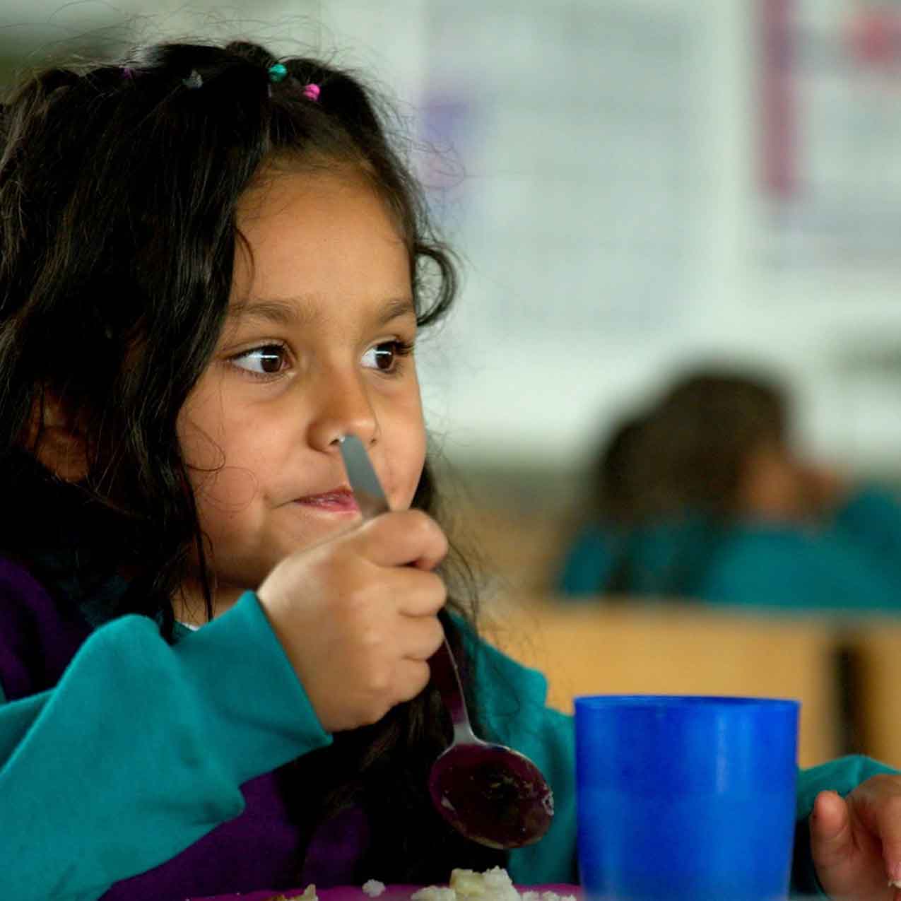 Certifications – Elite Flower