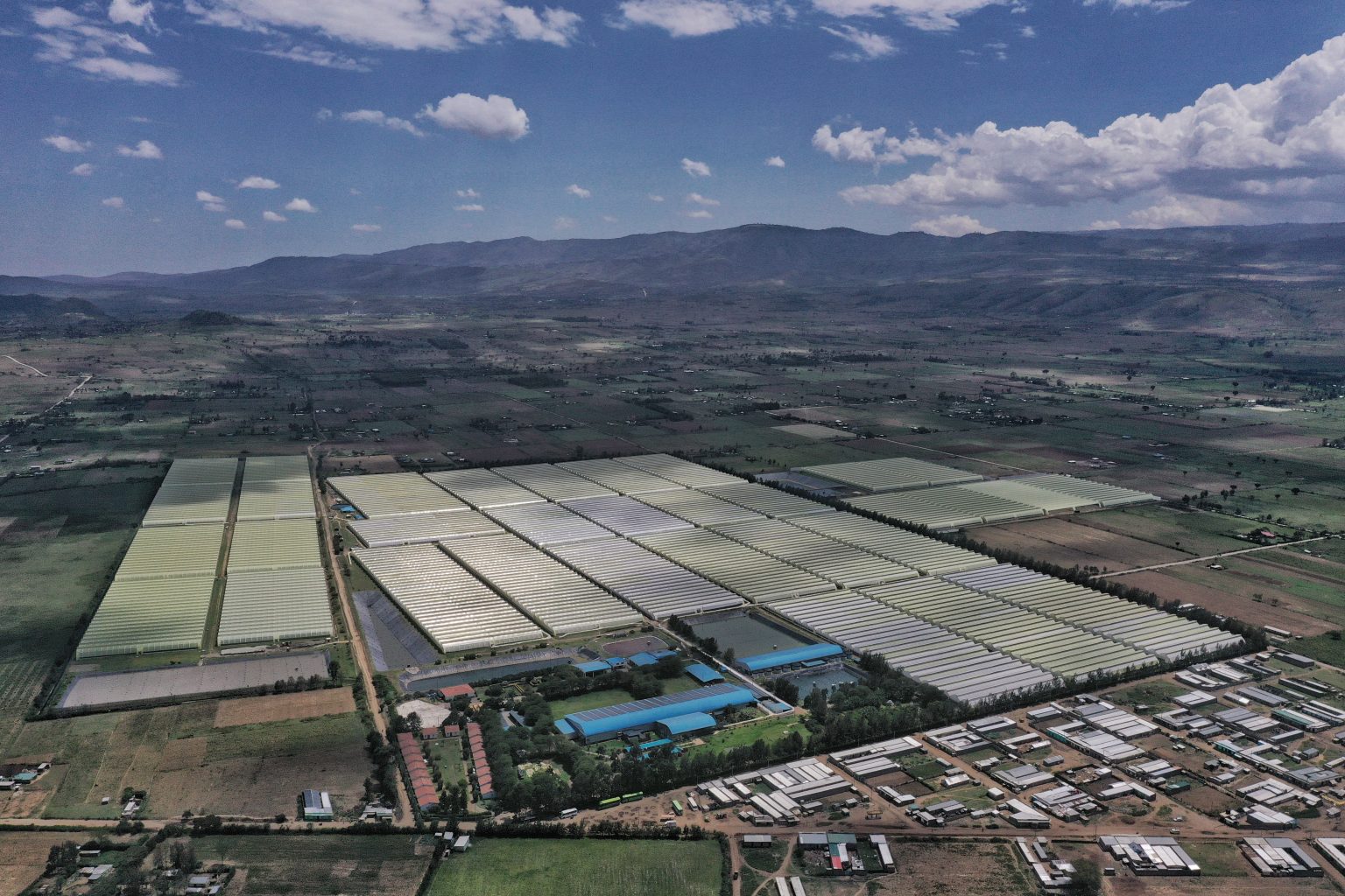 Our Farms – Elite Flower