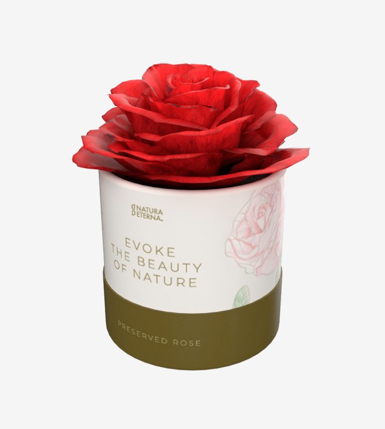 Preserved & Timeless – Elite Flower